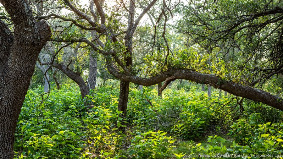 Gallery: Undeveloped 600-acre ranch near Boerne on the market for $30M ...
