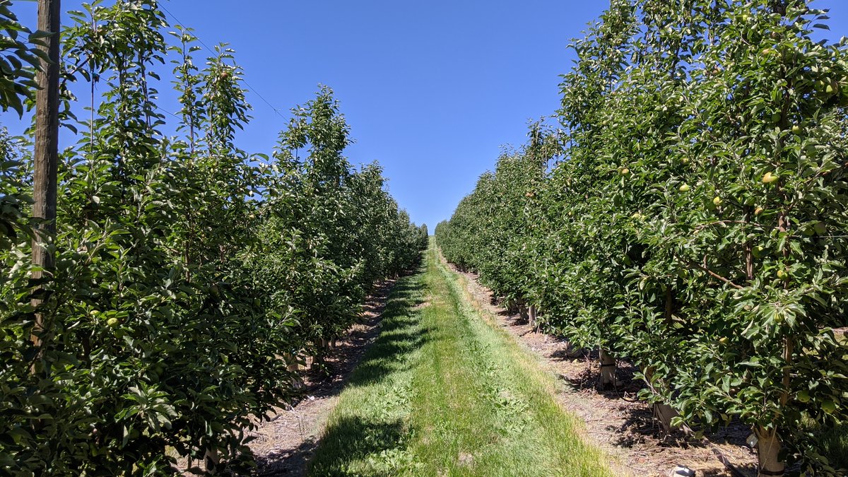 Why farmland investing has become the talk of the real estate community ...