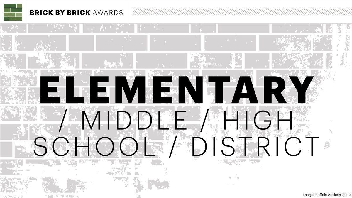 Brick by Brick 2023, Elementary/Middle/High School/District: Buffalo ...
