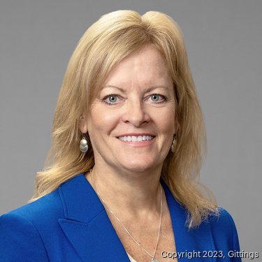 Denise McGinnis | People on The Move - New York Business Journal