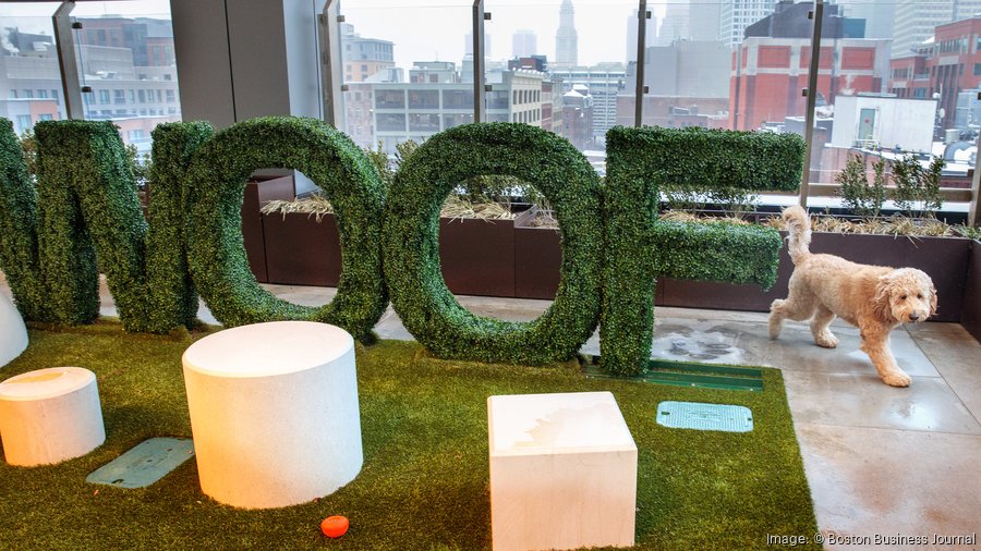 View from the top: Check out these Boston rooftop pools, bars and ...