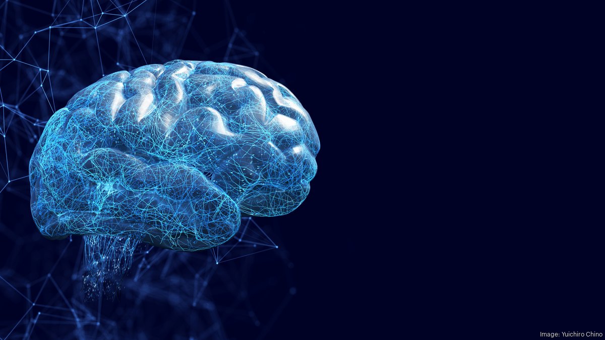 Brain surgery shows promising results in monkeys with chronic heavy ...