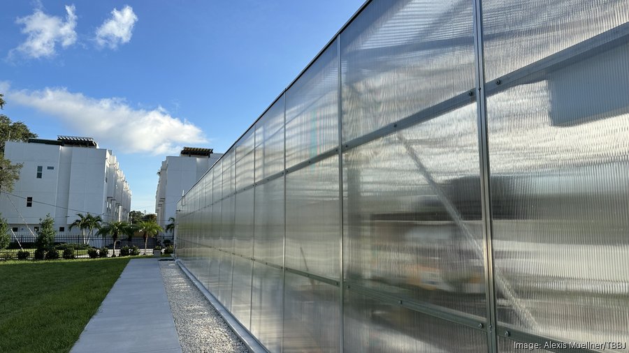 Le Roots urban farm founders draw from finance and culinary backgrounds ...