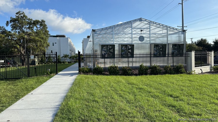 Le Roots urban farm founders draw from finance and culinary backgrounds ...