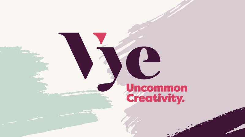 Vye BizSpotlight - Minneapolis / St. Paul Business Journal