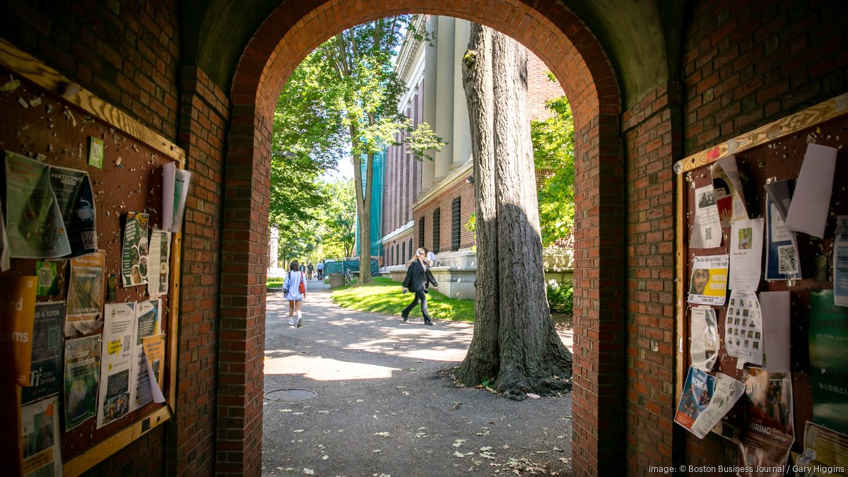 Harvard class of 2029 data shows nearly half get free tuition - Boston ...