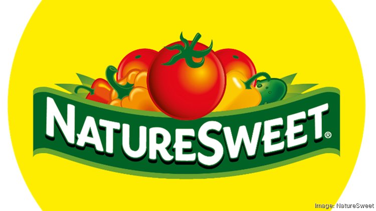 Silver Ventures sells international food company to New York's Blue ...