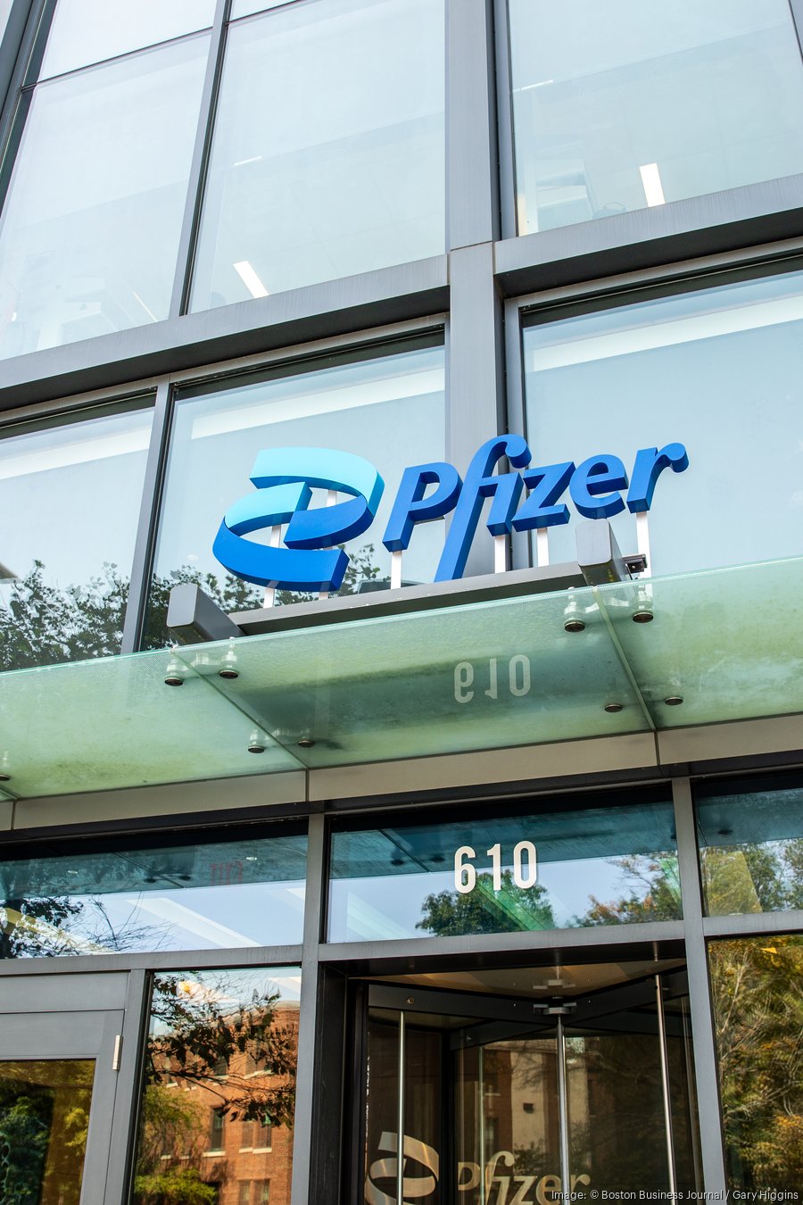 After setback, Pfizer sees positive results for gene therapy program ...