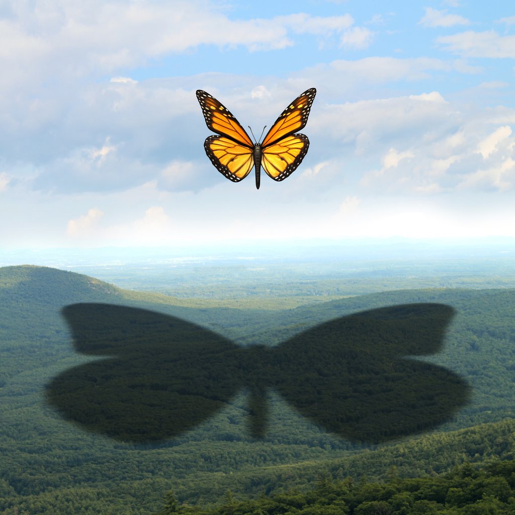 The WorkPlace Coach BizSpotlight - Atlanta Business Chronicle