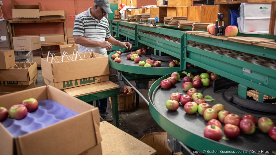 Apple picking photos from Brooksby Farm in Peabody - Boston Business ...