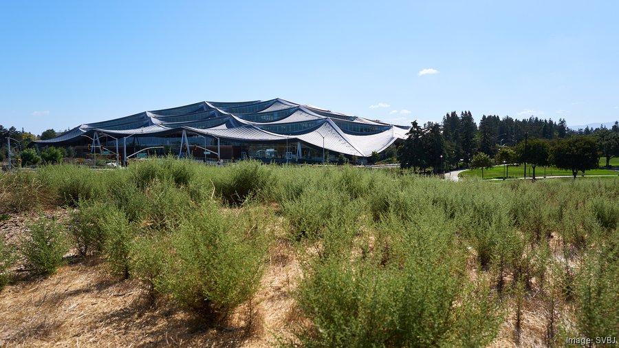 PHOTOS: Check out what Google's first-ever visitor center has to offer ...