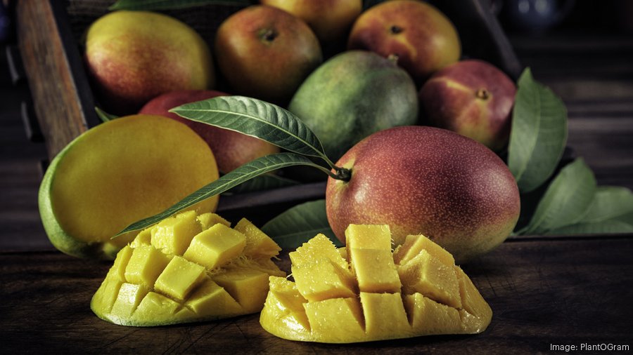 Why Windermere company PlantOGram made it to Oprah's Favorite Things ...