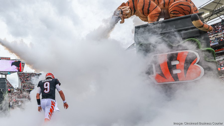 Bengals fans celebrate win over Seahawks - Cincinnati Business Courier