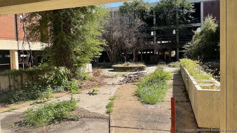 Anchor tenants named $72M in Northside Square, 1212 Vollintine Ave ...