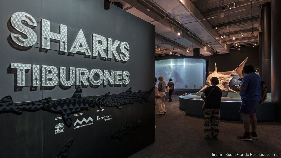 'Sharks' at the Phillip and Patricia Frost Museum of Science in Miami ...