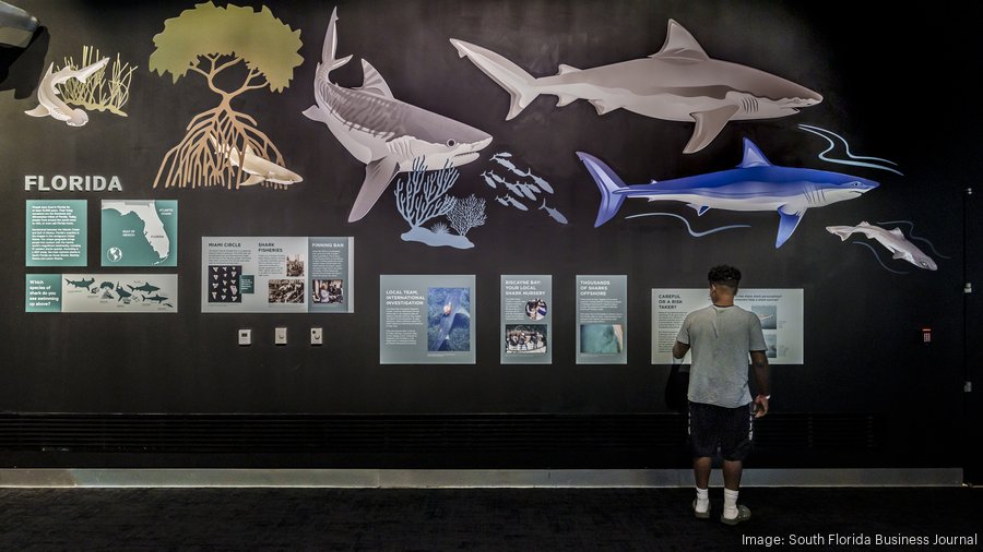 'Sharks' at the Phillip and Patricia Frost Museum of Science in Miami ...