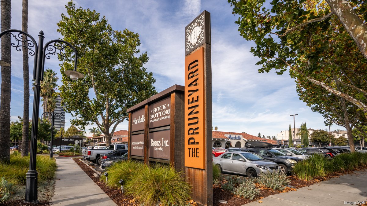 Dough Zone, Pennyland Toys to open at Pruneyard Shopping Center ...