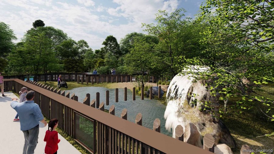 SeaWorld San Antonio to add new giant tortoise attraction - San Antonio ...
