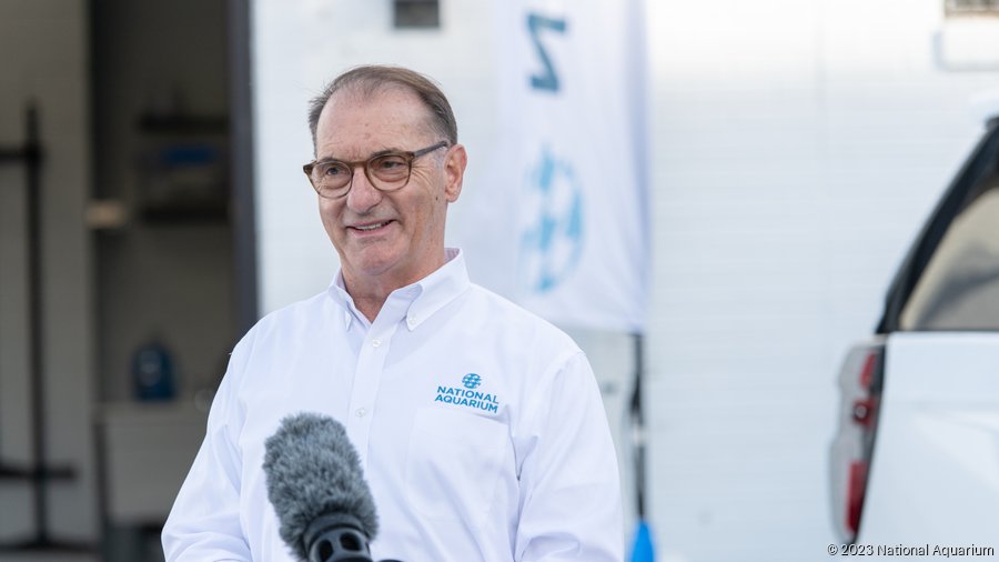 Downtown Partnership of Baltimore names BGE's Carim Khouzami chair ...