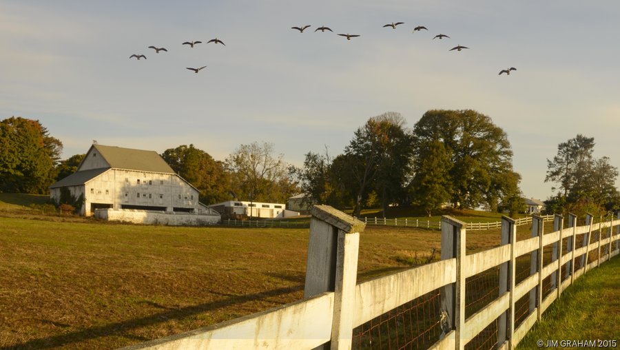 Longwood Gardens completes acquisition of Granogue, a 505-acre du Pont ...