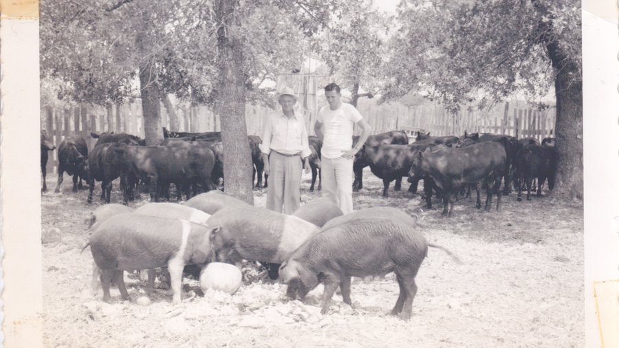 Black's Barbecue: Family-run mainstay is an Austin icon - Austin ...