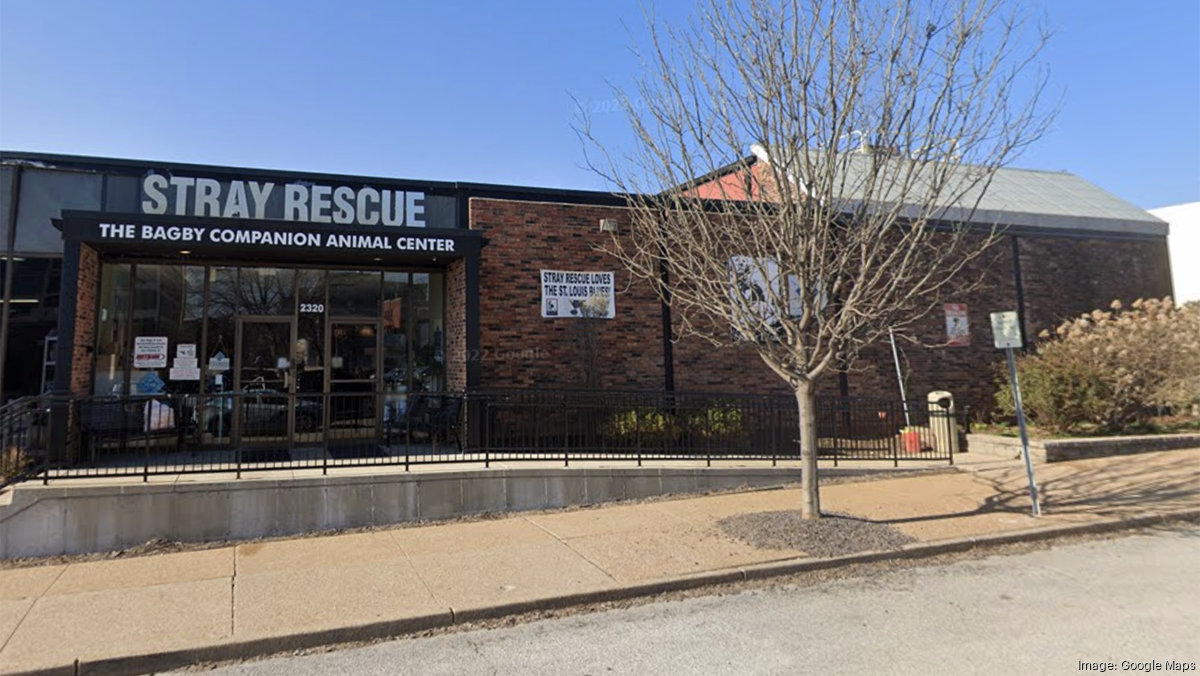 Stray Rescue markets 'prime' site next to Downtown West's CityPark - St ...