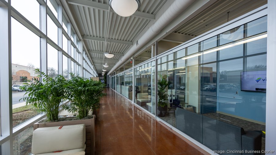 Prosource Technologies rebrands as Vitis Technologies - Cincinnati Business Courier