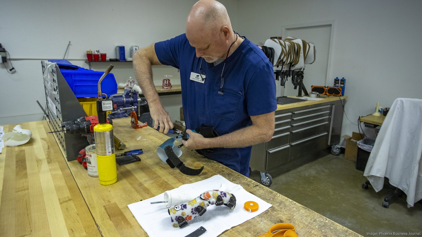 AZ Inno - How Scottsdale-based Pet Ortho Braces helps animals regain ...