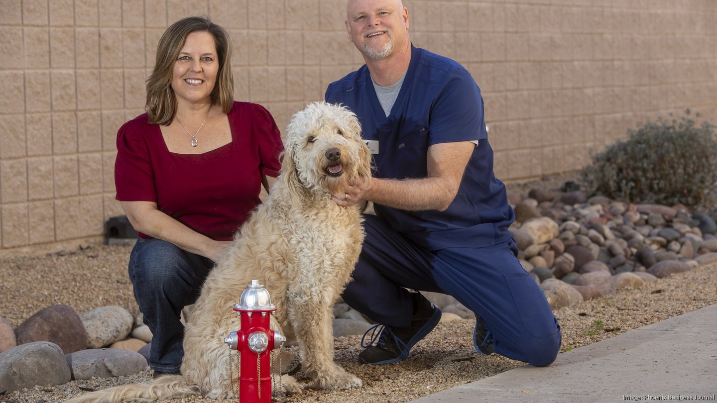 AZ Inno - How Scottsdale-based Pet Ortho Braces helps animals regain ...