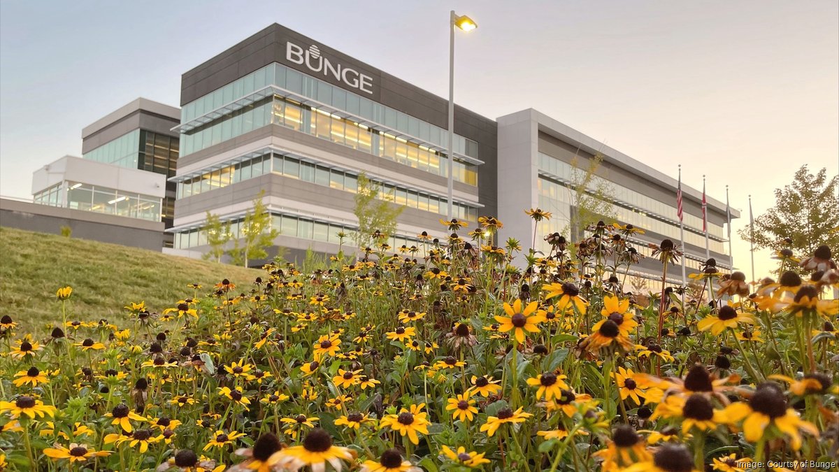 Bunge Global completes sale of stake in JV with oil company BP - St ...