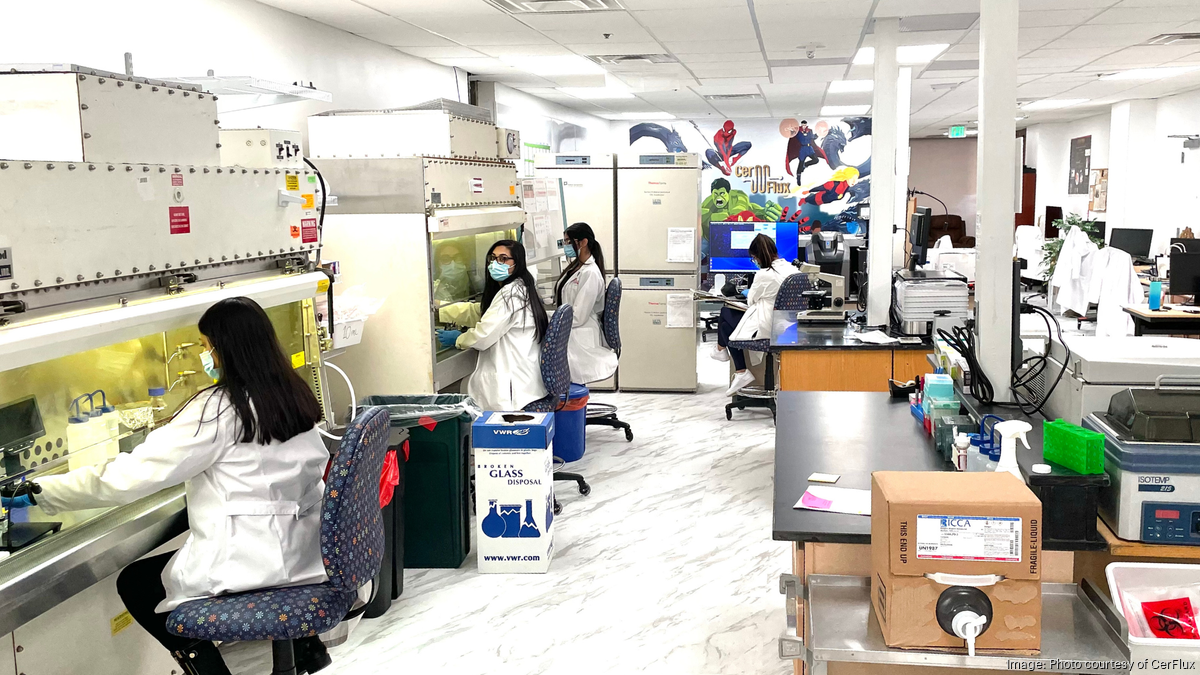 From shrimp shell polymers to new cures for cardiovascular disease ...