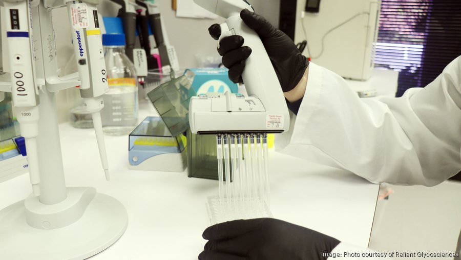 From shrimp shell polymers to new cures for cardiovascular disease ...