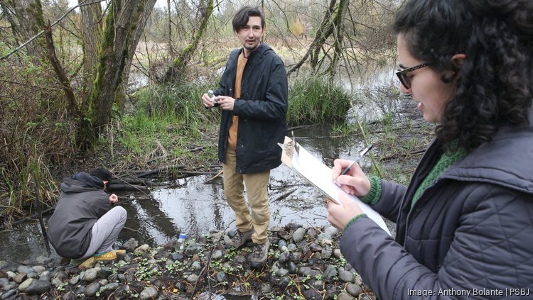 Wetlands project yields abundant climate benefits for Bothell campus ...