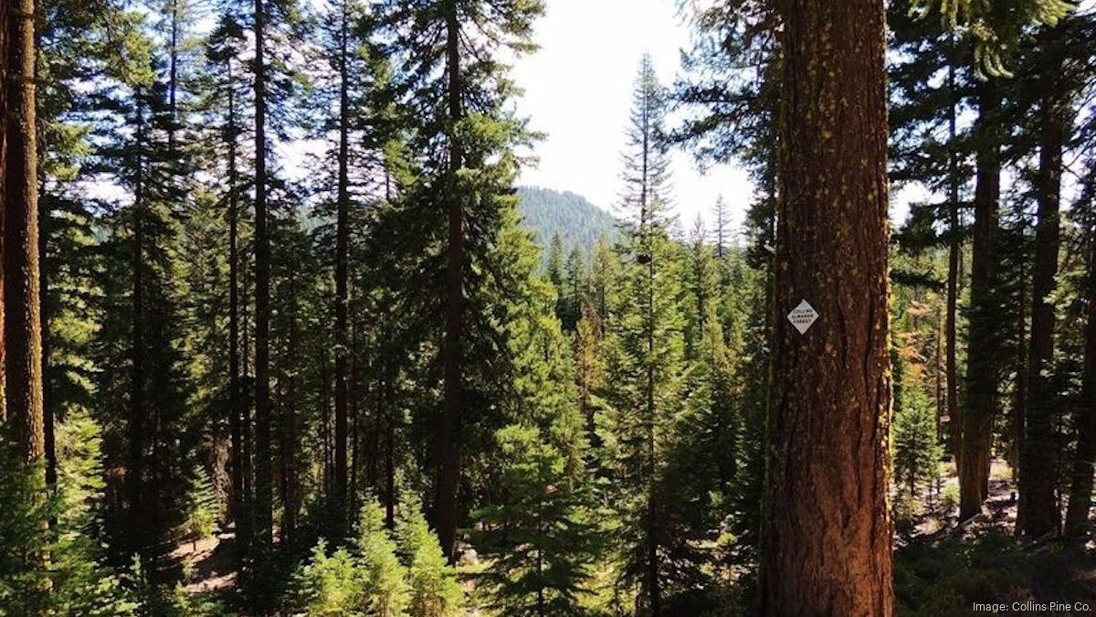 Collins Pine sells Klamath Falls manufacturing facilities - Portland Business Journal