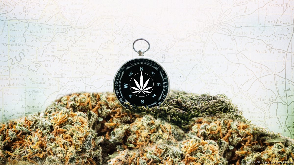 Marijuana mapped: St. Louis' pot deserts are prime for the taking - St ...