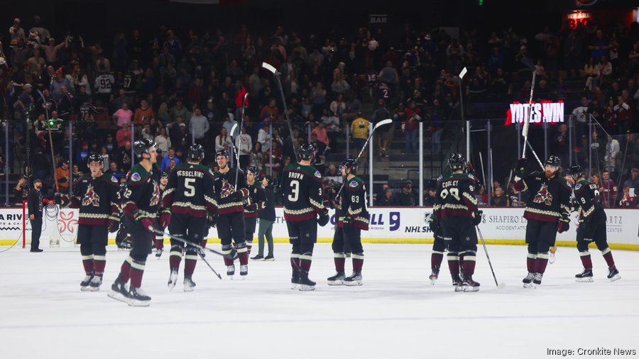 Arizona Coyotes team, stocked with young talent, poised for more ...