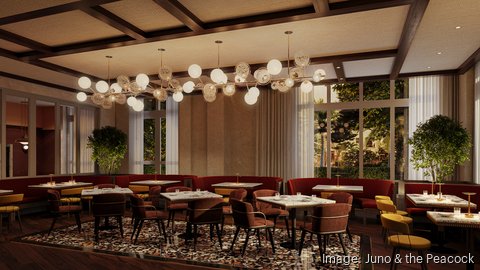 Drew Dimitrovski named executive chef at Juno & the Peacock, Pluma in ...