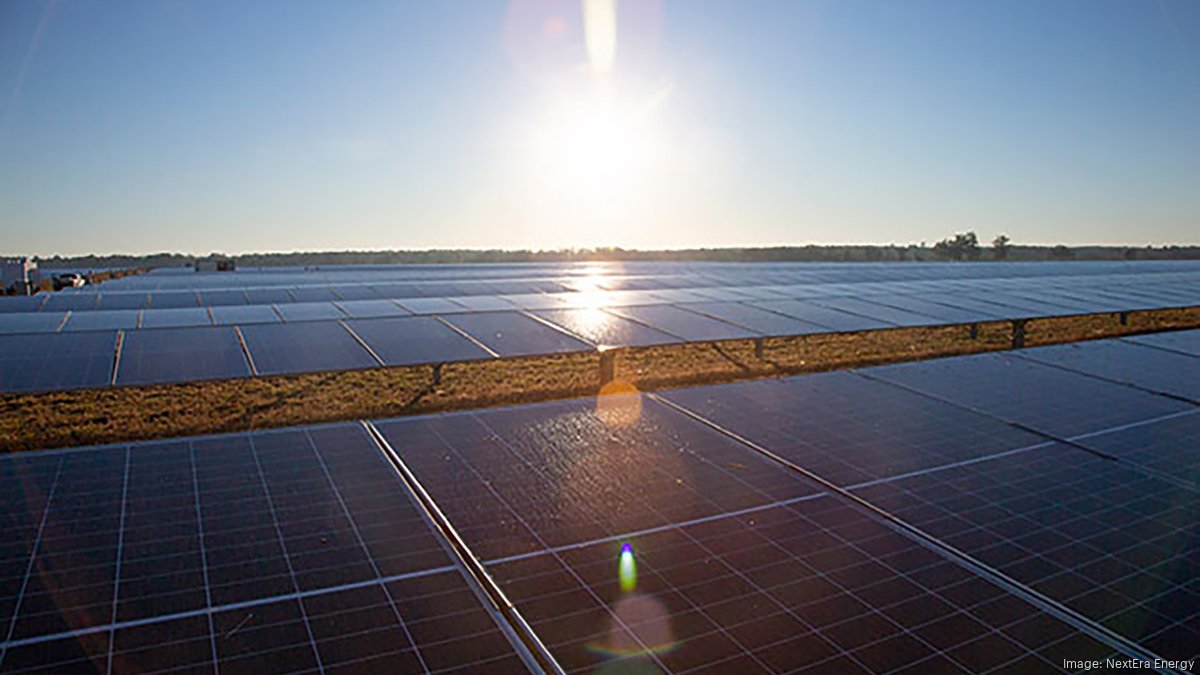 Elon, Wake and Davidson universities join Pennsylvania schools to ...