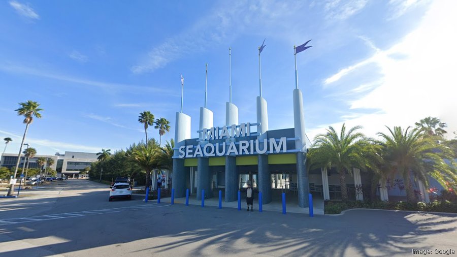 Miami-Dade files lawsuit to evict Miami Seaquarium operator - South ...