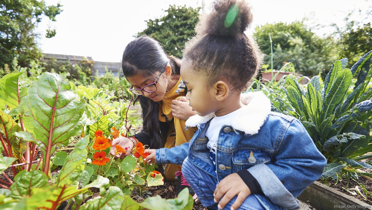 Innovate education to help St. Louis' future economy | Opinion - St ...