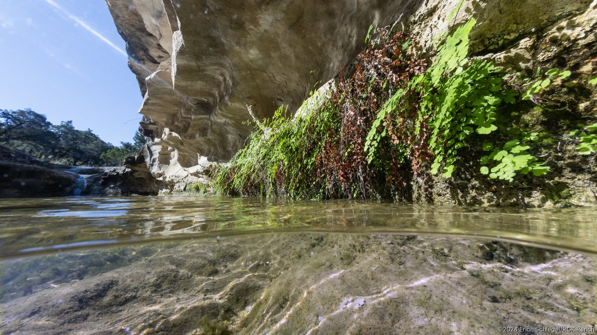 Western View Albuquerque