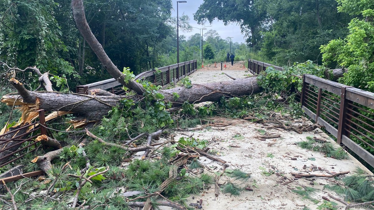 Storm knocks out power, trees at Memorial Park in Houston - Houston ...