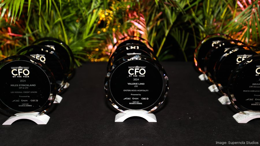2024 CFO of the Year honorees celebrate stand-out success as financial ...