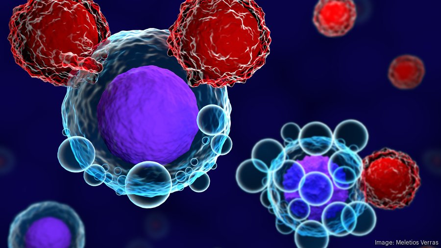 Understanding CAR T-cell therapy: A conversation with Northside’s Dr ...