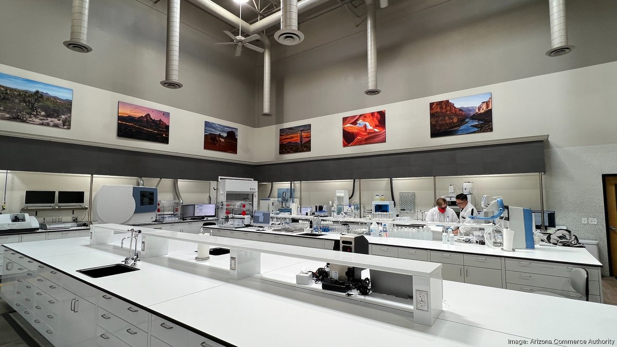 Arizona Lithium opens research center in Phoenix metro - Phoenix ...