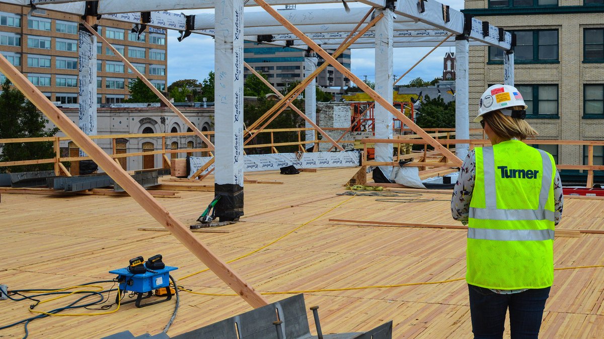Timber talks: Exploring the environmental, economic, and aesthetic ...