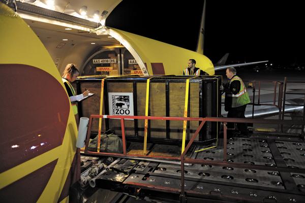 Location, labor market make CVG ideal for DHL - Cincinnati Business Courier