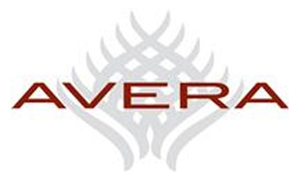 Avera may be Houston’s next big data center player - Houston Business ...