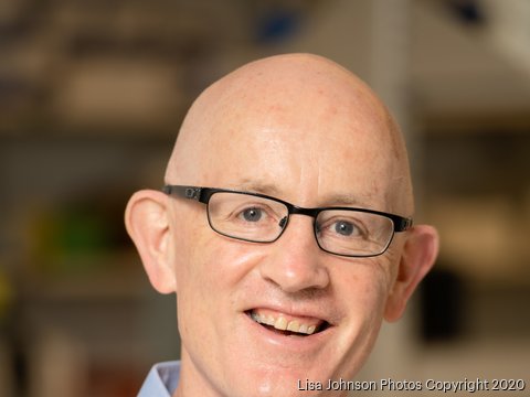 Chicago Technology News - Chicago Business Journal