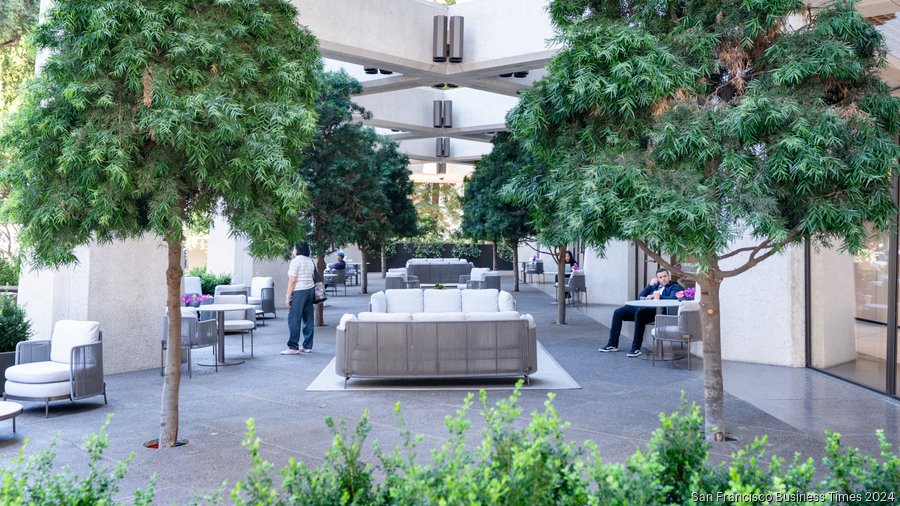 Peek inside Shvo's newly renovated Transamerica Pyramid - San Francisco ...